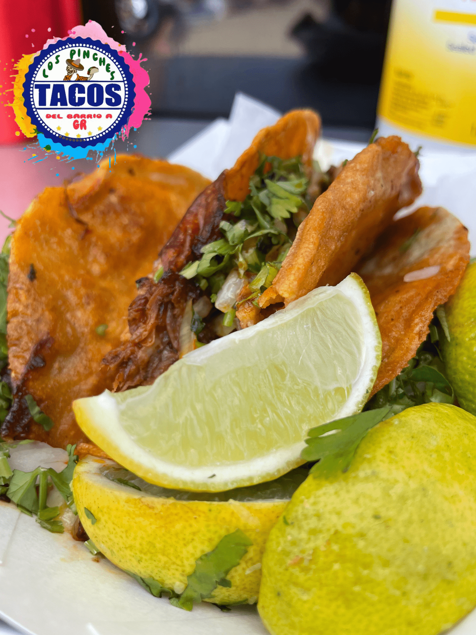 Los Pinches Tacos - Saugatuck Center for the Arts