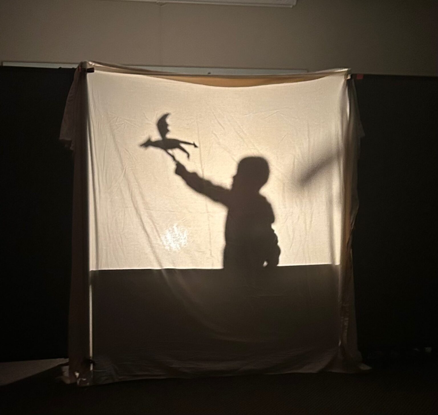 Side by Side Studio: Spooky Shadow Puppets - Saugatuck Center for the Arts